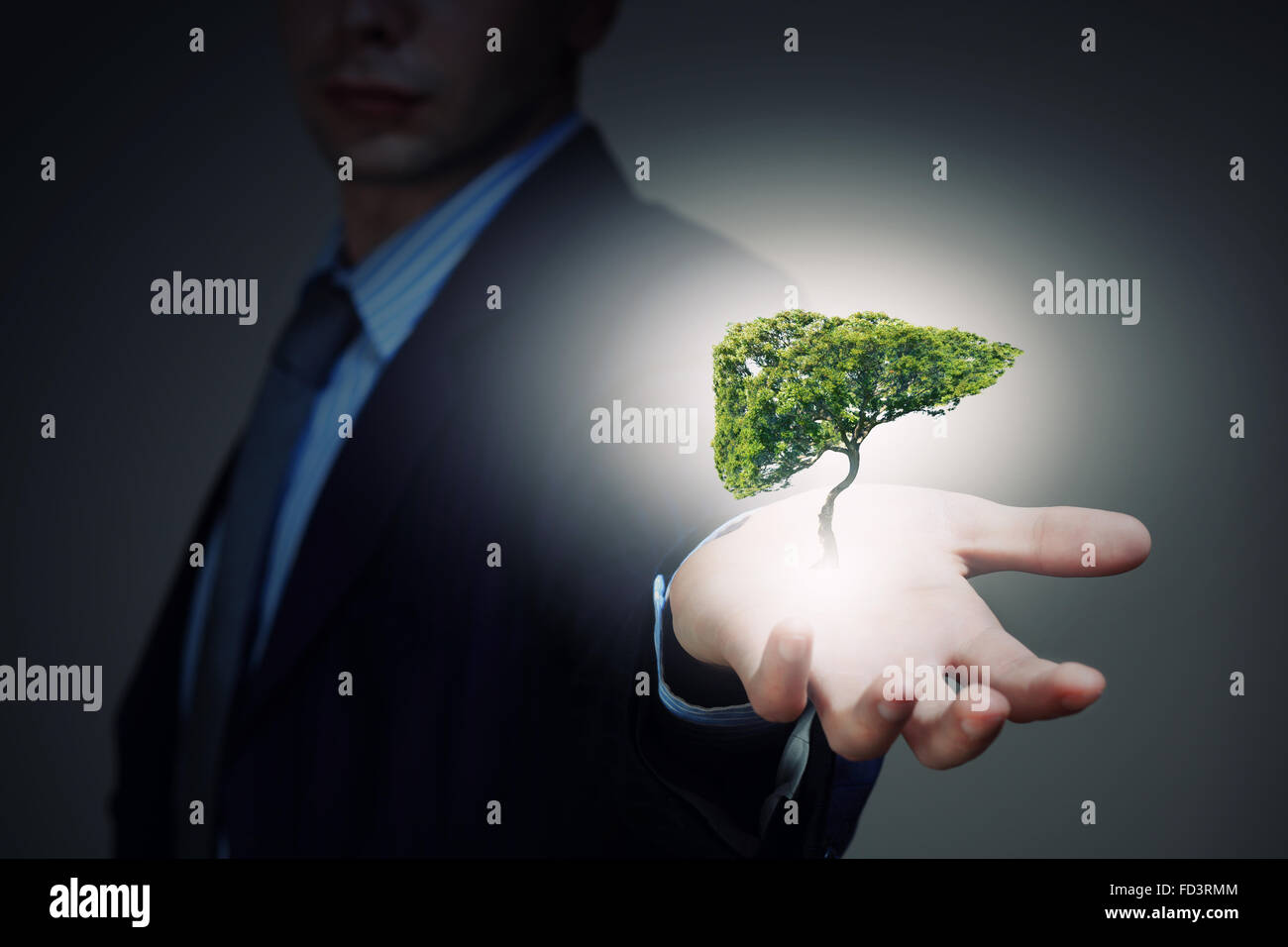 Conceptual image of green tree shaped like human liver Stock Photo - Alamy