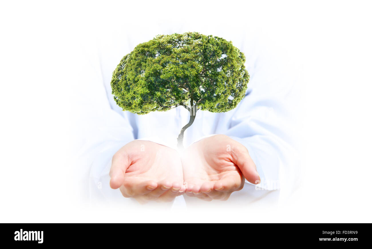 Close up of human hands holding green tree Stock Photo - Alamy