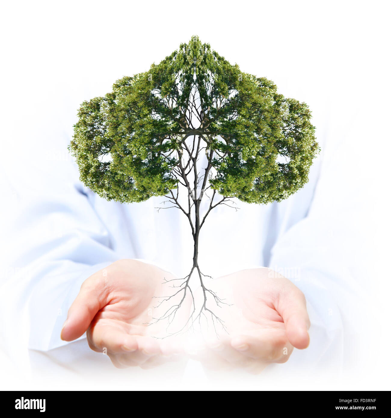 Tree symbol human hands Cut Out Stock Images & Pictures - Alamy