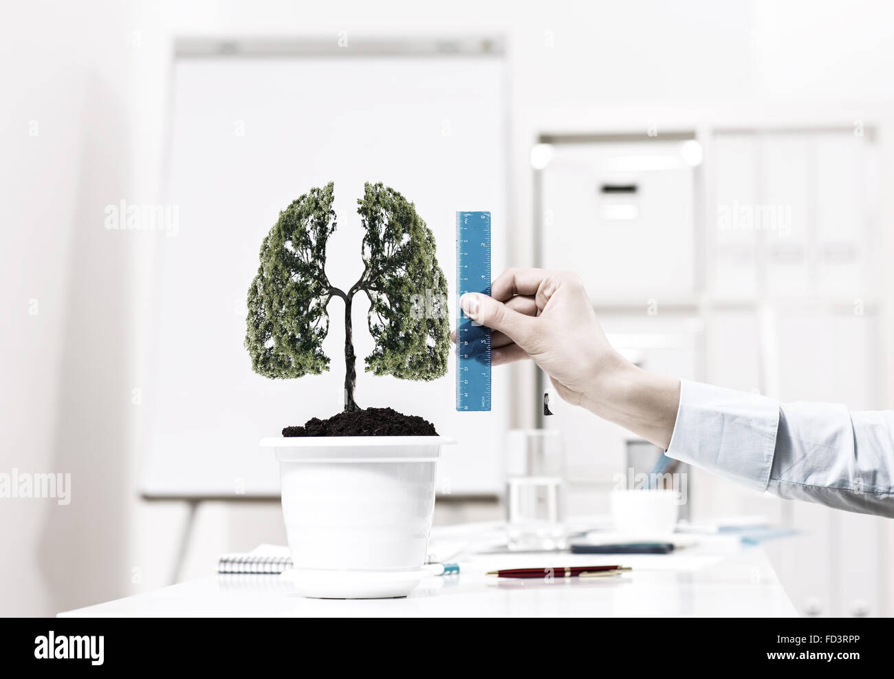 Close up of human hand measuring tree in pot with ruler Stock Photo - Alamy