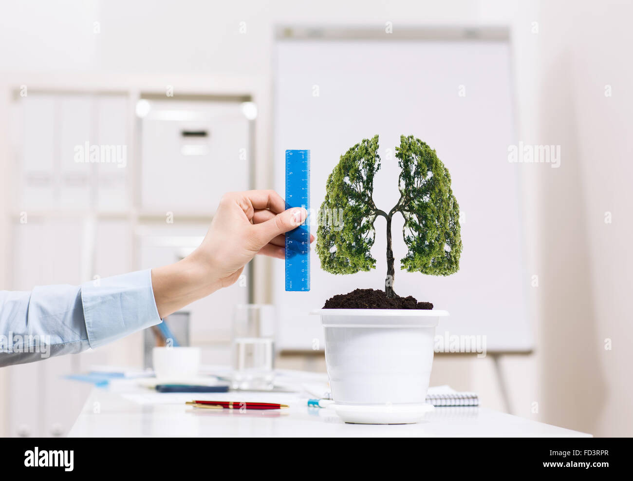 Close up of human hand measuring tree in pot with ruler Stock Photo - Alamy