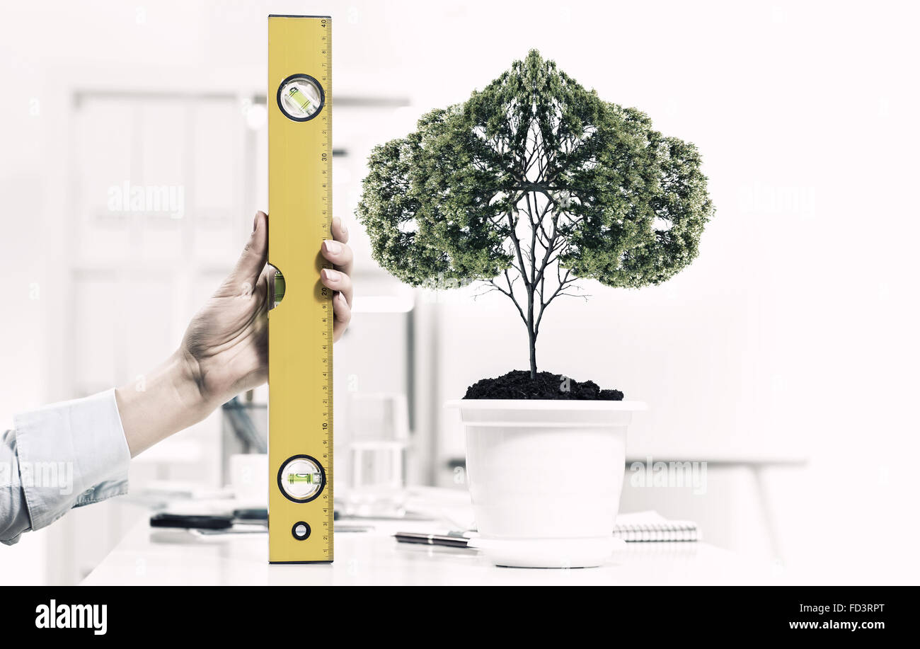 Close up of human hand measuring tree in pot with ruler Stock Photo - Alamy