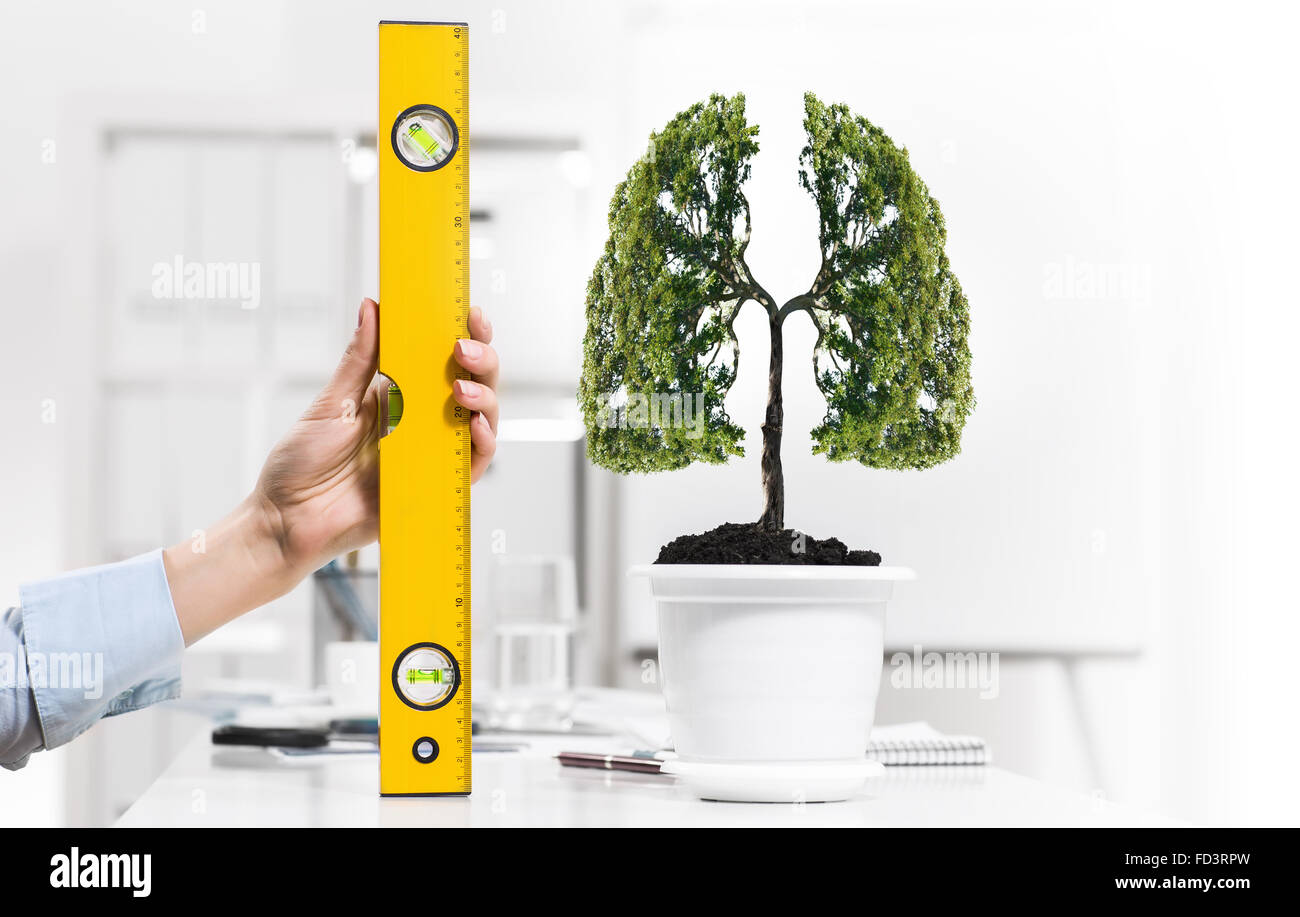 Close up of human hand measuring tree in pot with ruler Stock Photo - Alamy