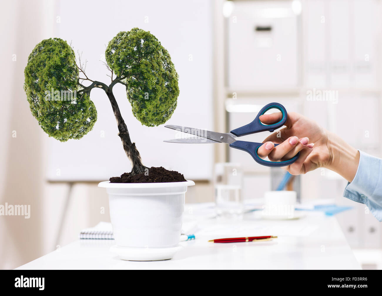 Close up of human hand cutting tree in pot with scissors Stock Photo ...
