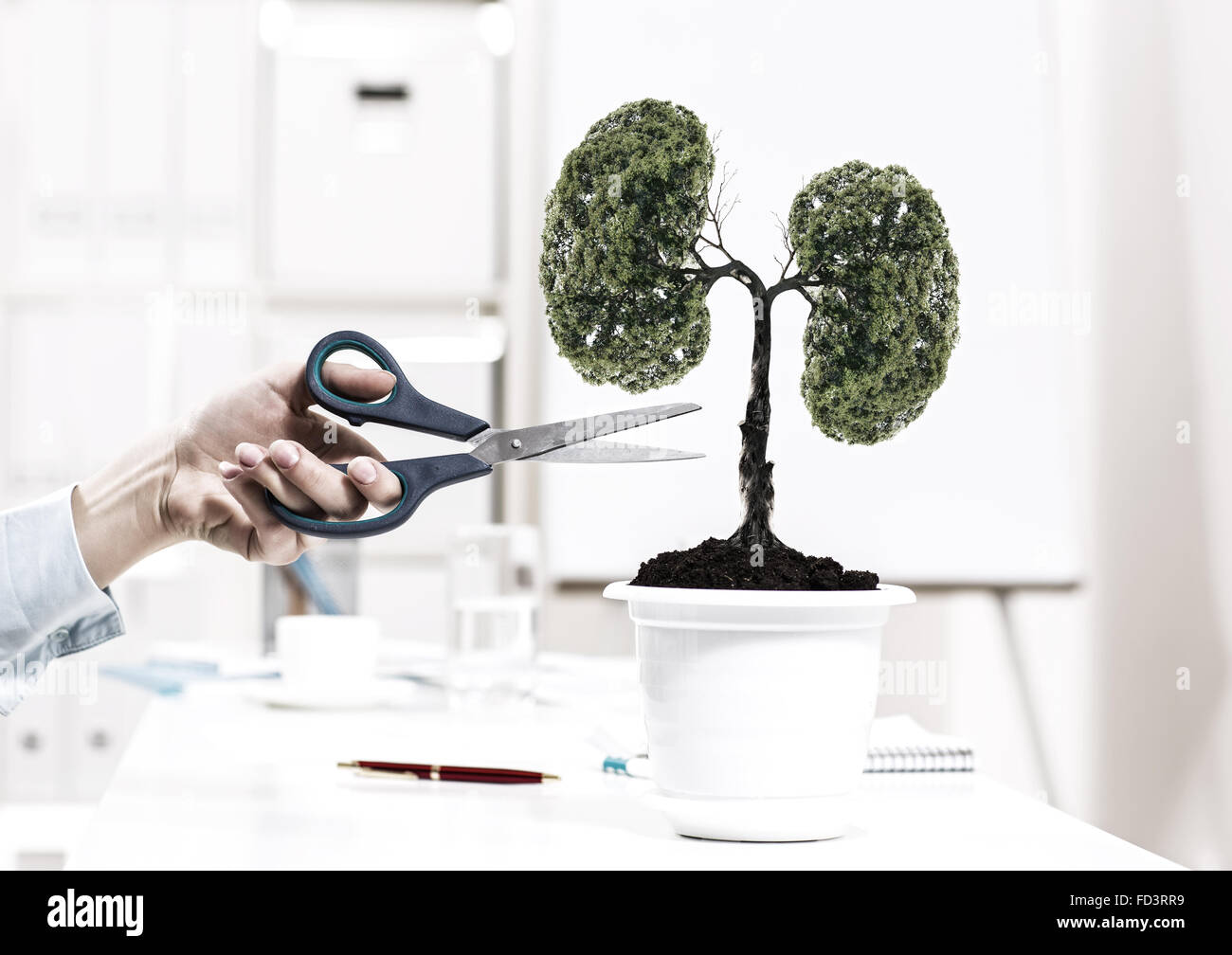 Close up of human hand cutting tree in pot with scissors Stock Photo ...