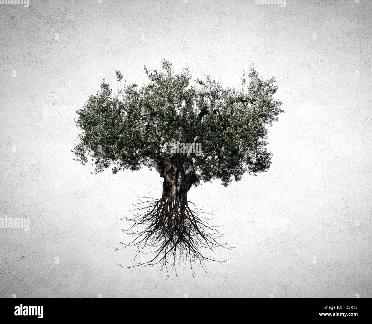 Green brain tree hi-res stock photography and images - Alamy