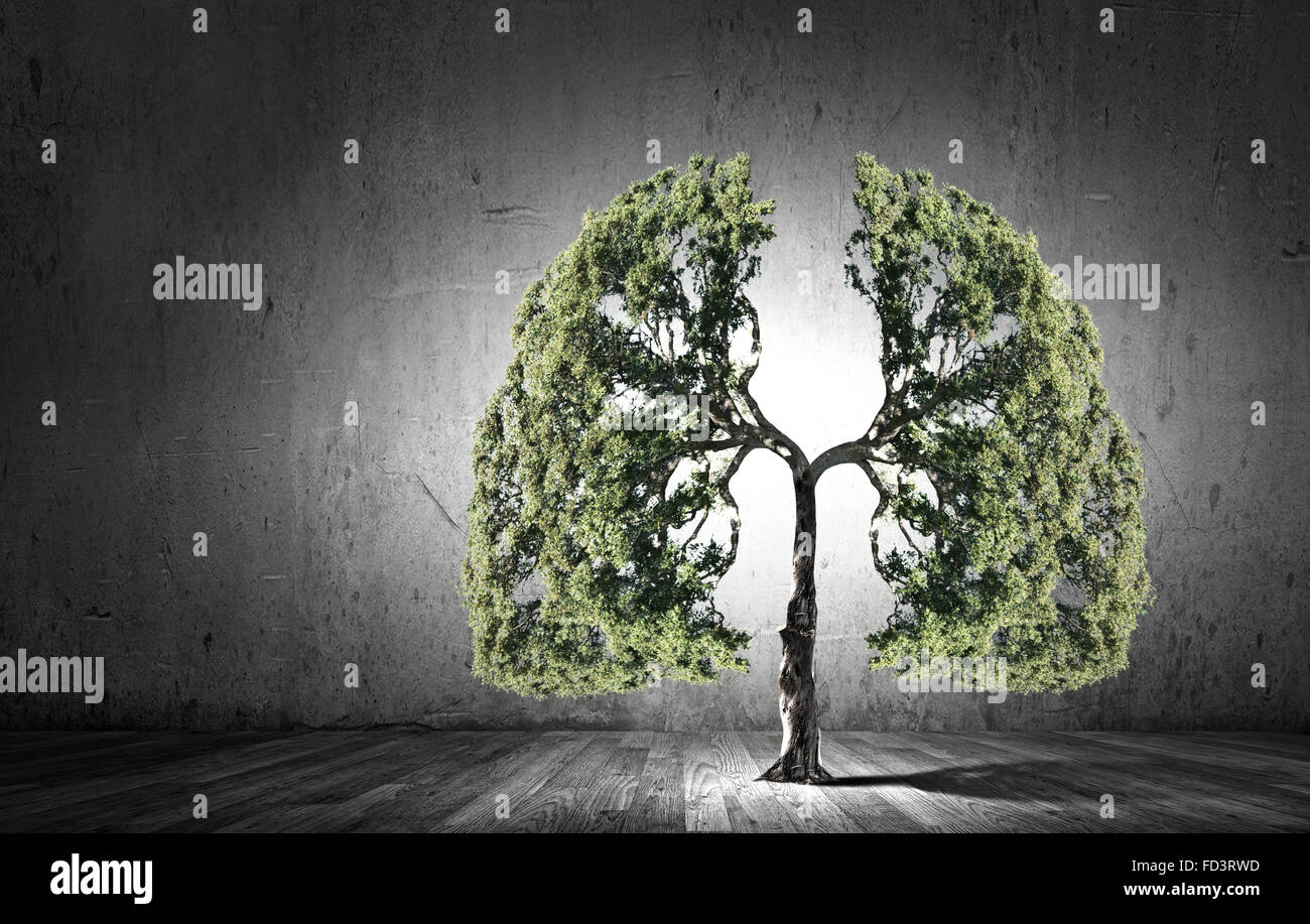 Conceptual image of green tree shaped like human lungs Stock Photo - Alamy