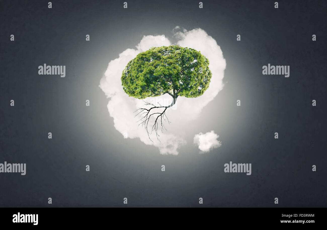 Conceptual image of green tree shaped like brain Stock Photo - Alamy