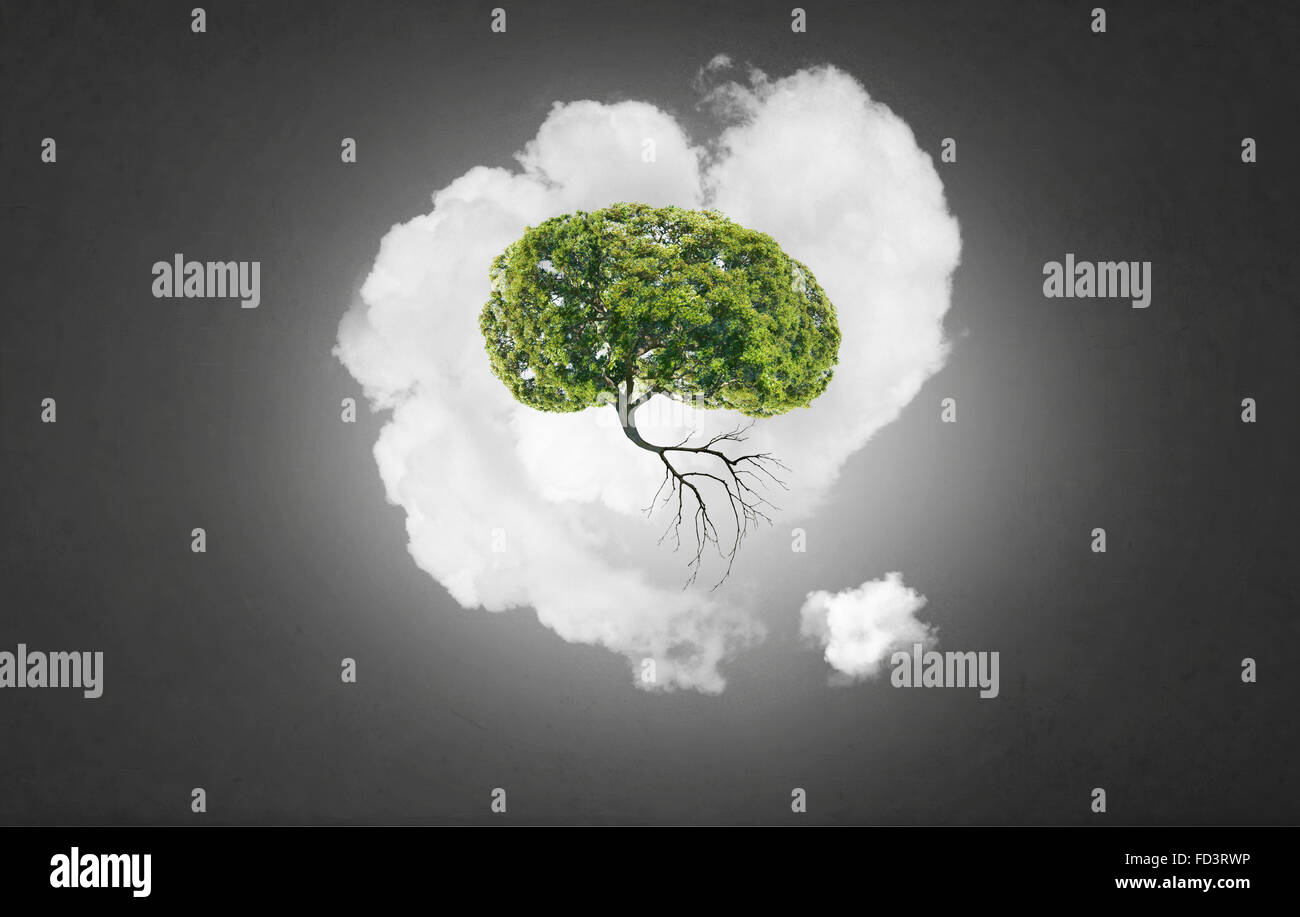 Conceptual image of green tree shaped like brain Stock Photo - Alamy