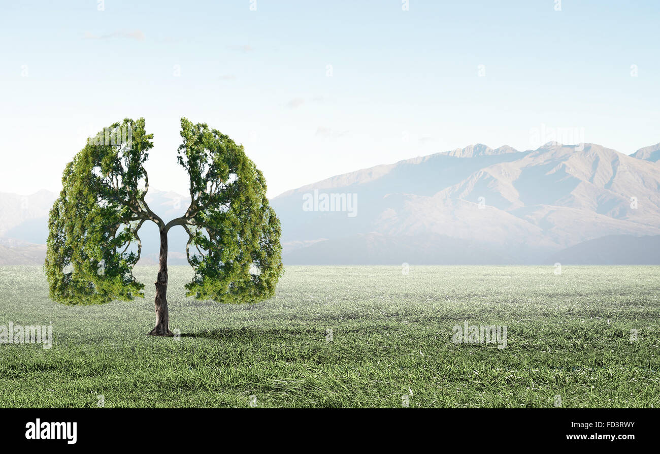 Conceptual image of green tree shaped like human lungs Stock Photo - Alamy