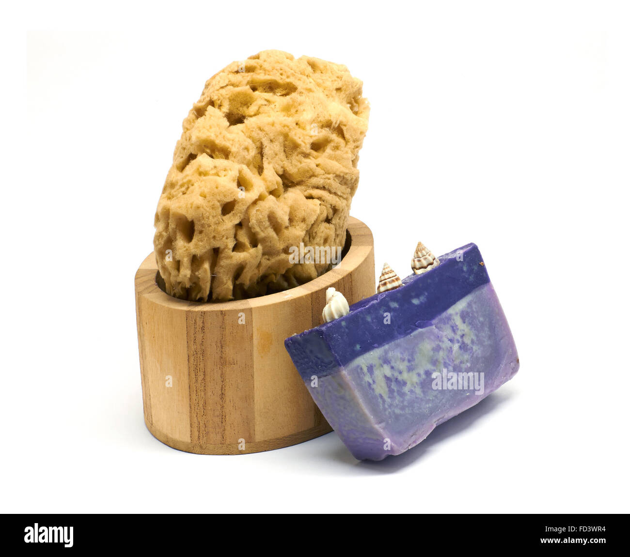 Sponge box hi-res stock photography and images - Alamy