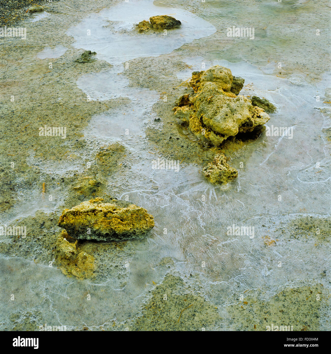 ice formation on shore of Mono Lake, California Stock Photo - Alamy