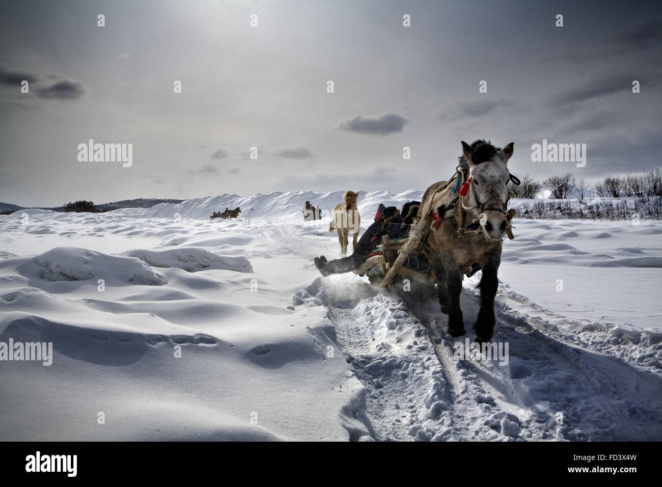 Heilongjiang mohe north pole village hi-res stock photography and ...