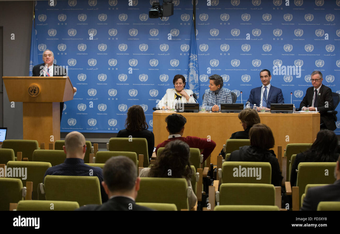 Mindy lubber hi-res stock photography and images - Alamy