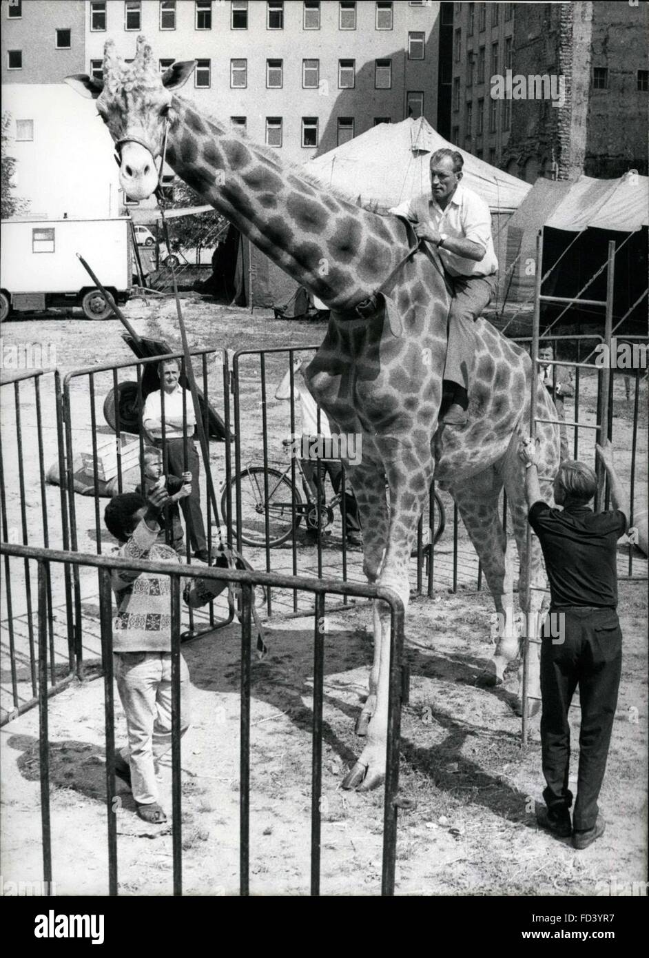 Giraffe Riding A Giraffe