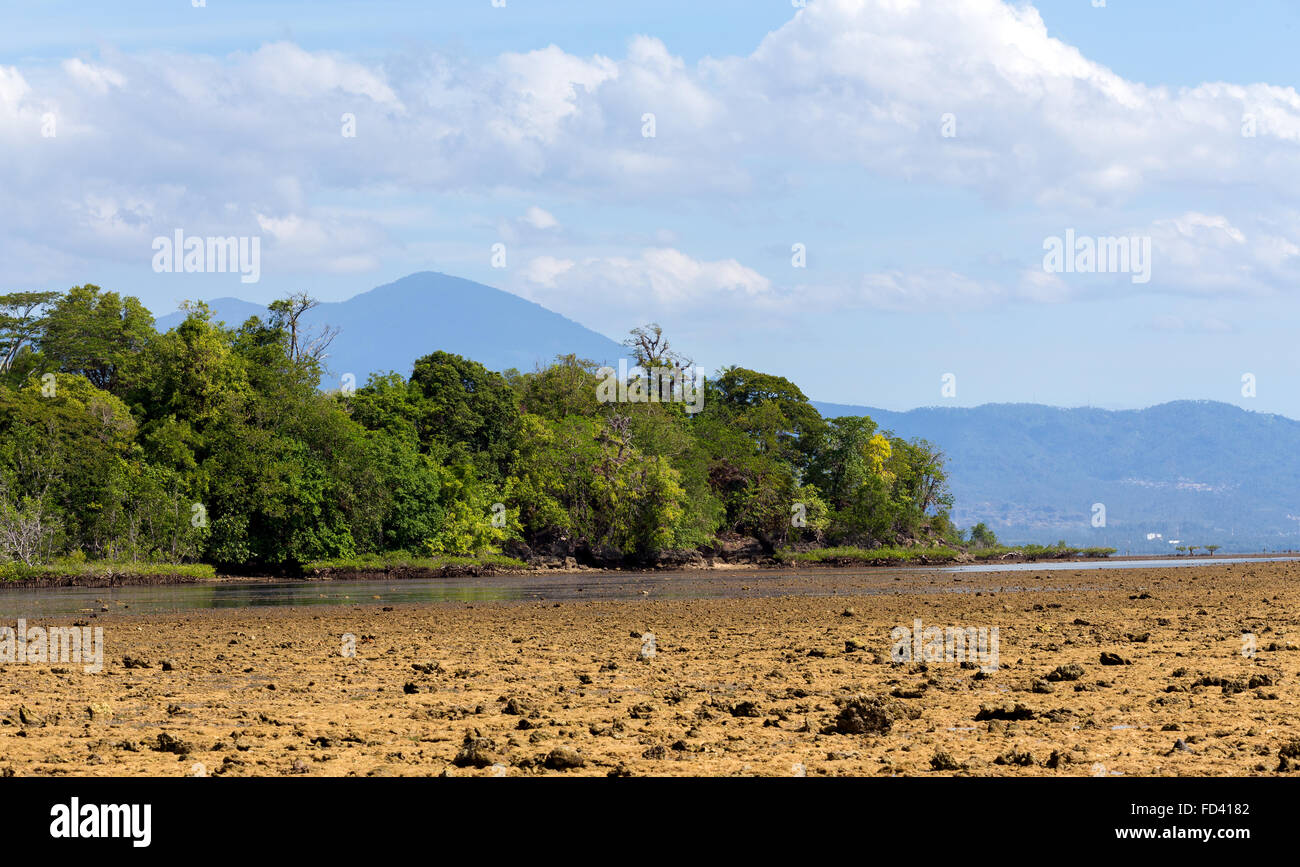 Traditional Indonesian landscape with mangrove and walkway, Sulawesi ...