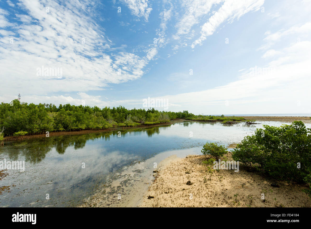 Traditional Indonesian landscape with mangrove and walkway, Sulawesi ...