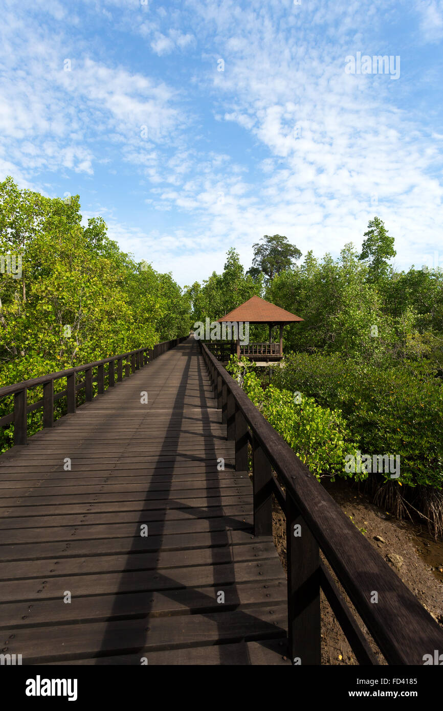 Traditional Indonesian landscape with mangrove and walkway, Sulawesi ...