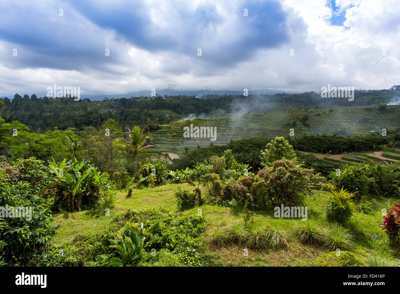 panorama of beautiful Rice terraced paddy fields in central Bali, Ubud ...