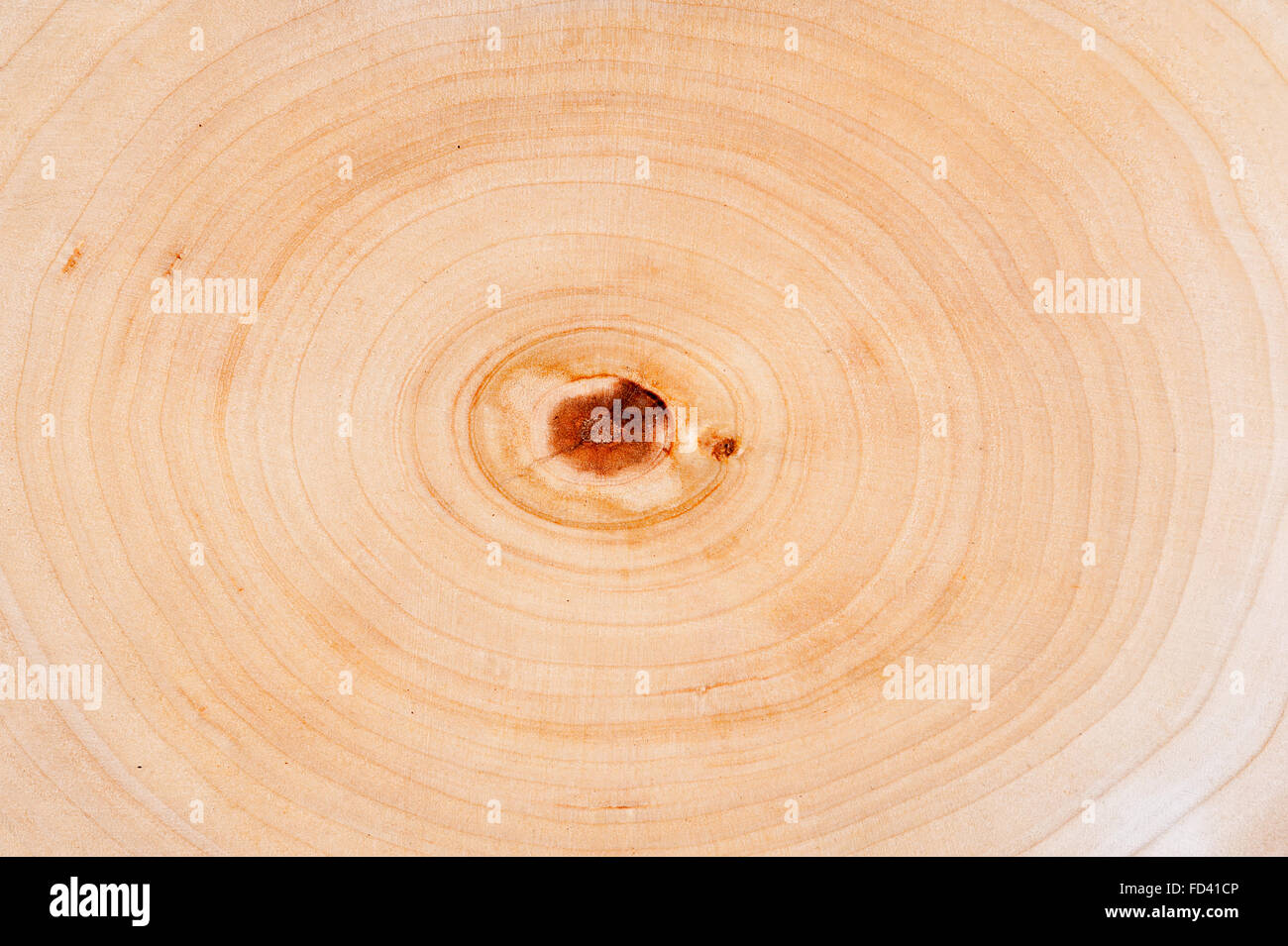 To cut down tree rings texture background Stock Photo - Alamy