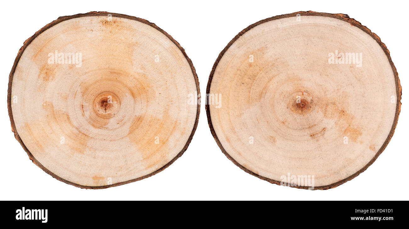 Round cut down tree with annual rings texture background Stock Photo - Alamy