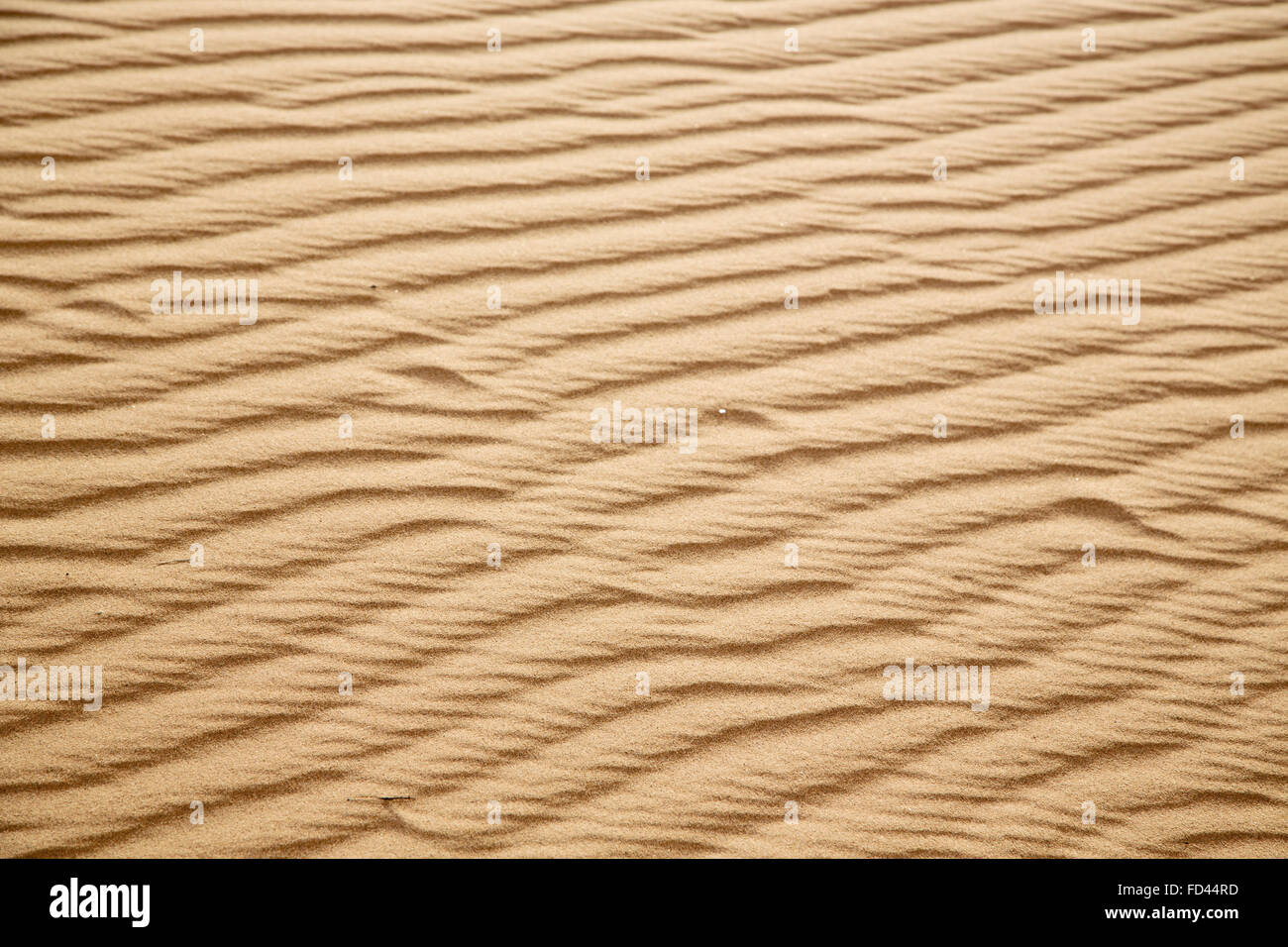 the brown sand dune in the sahara morocco desert Stock Photo - Alamy