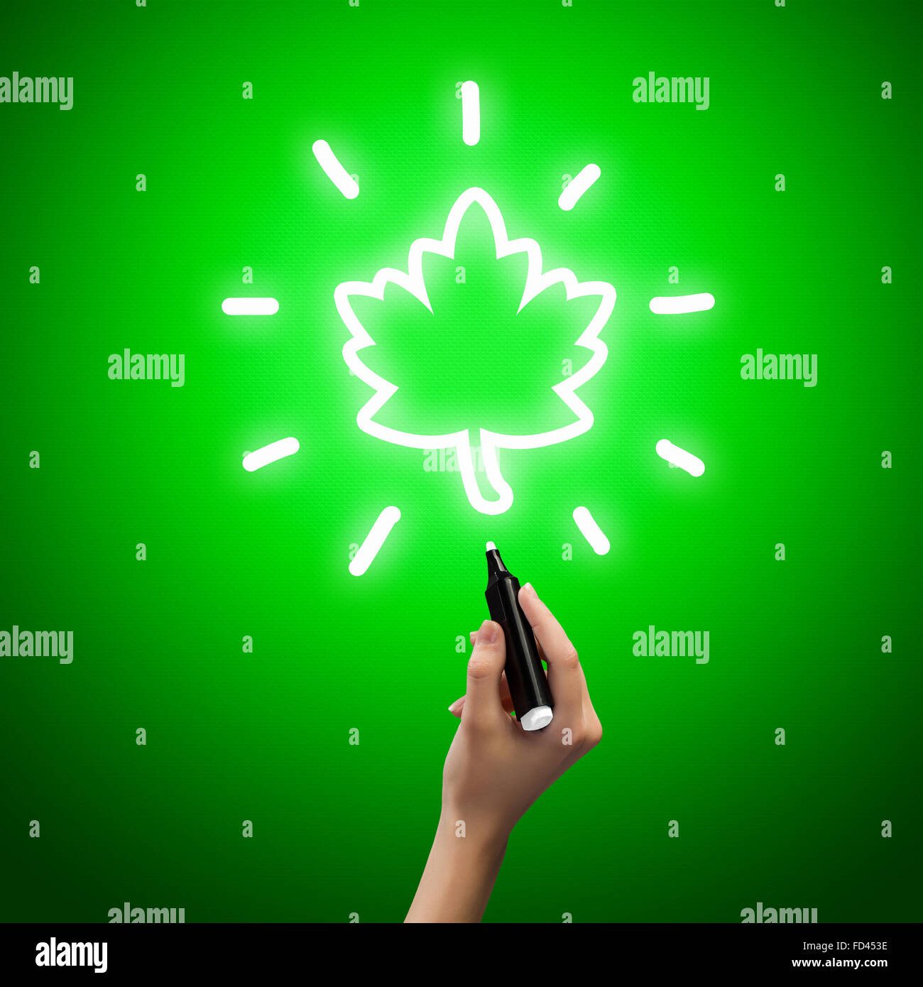 Close up of human hand drawing maple leaf Stock Photo - Alamy