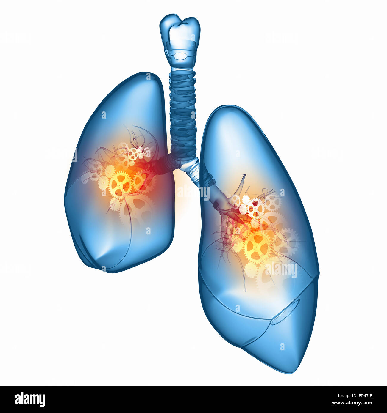 Human lungs with mechanisms. Health and medicine Stock Photo - Alamy