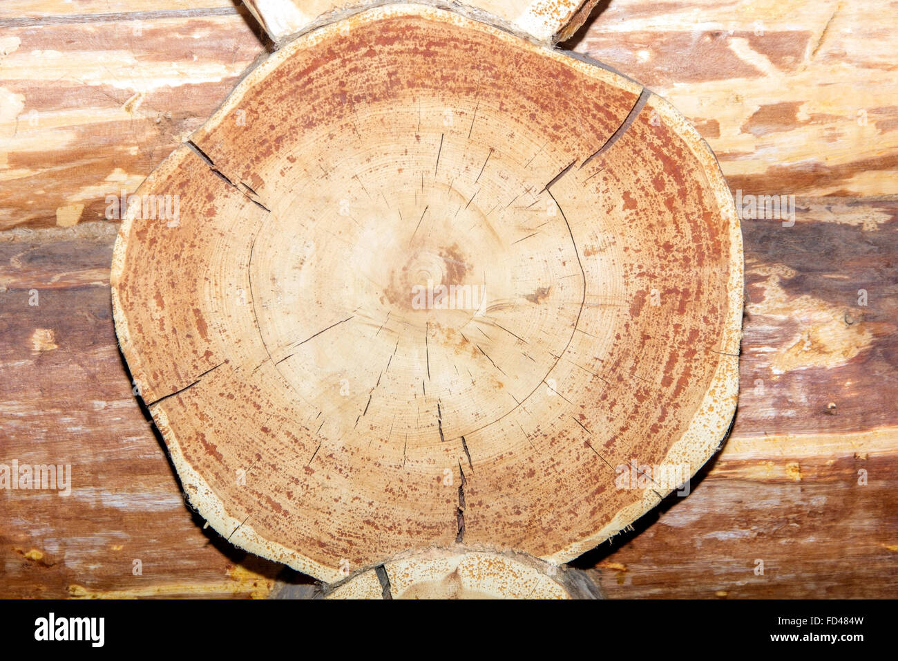Texture of wood logs Stock Photo - Alamy