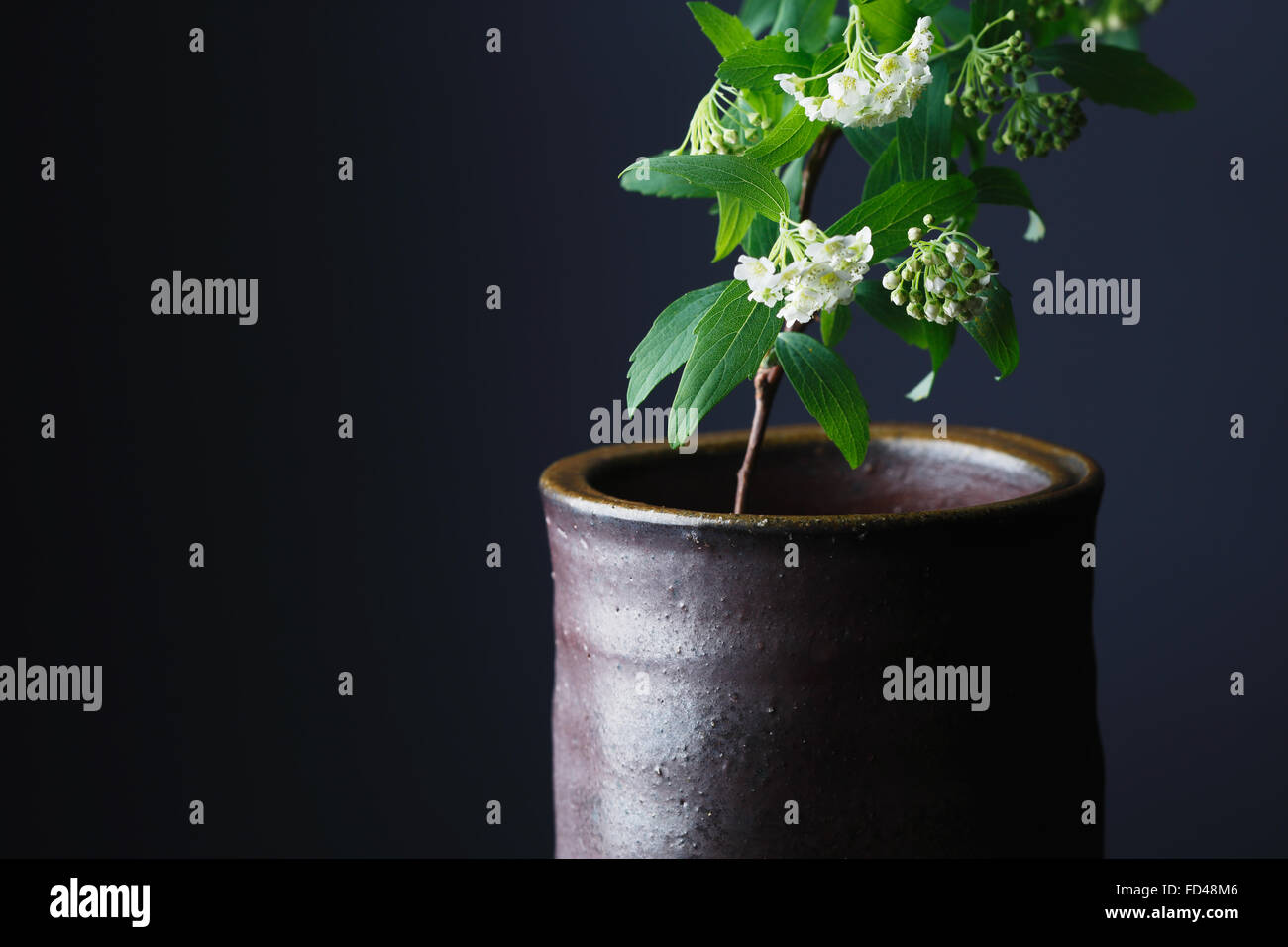Japanese pottery vase hi-res stock photography and images - Alamy