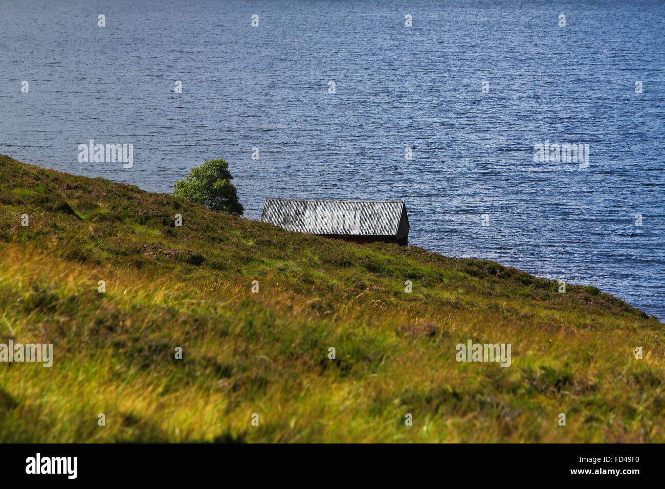 Grassy Field Against Lake Stock Photo - Alamy