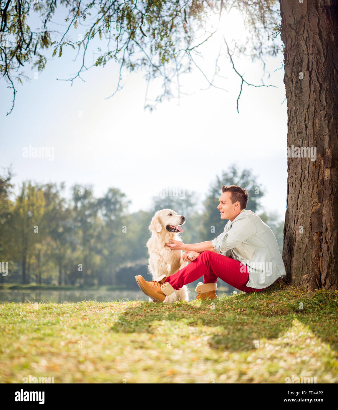 Cheerful man sitting by a tree in park and playing with his pet dog ...