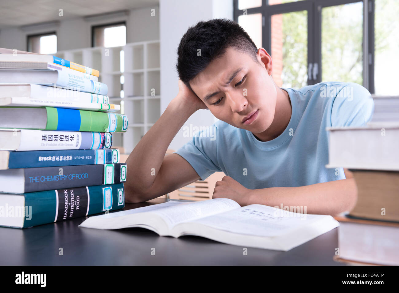College student studying in library Stock Photo - Alamy