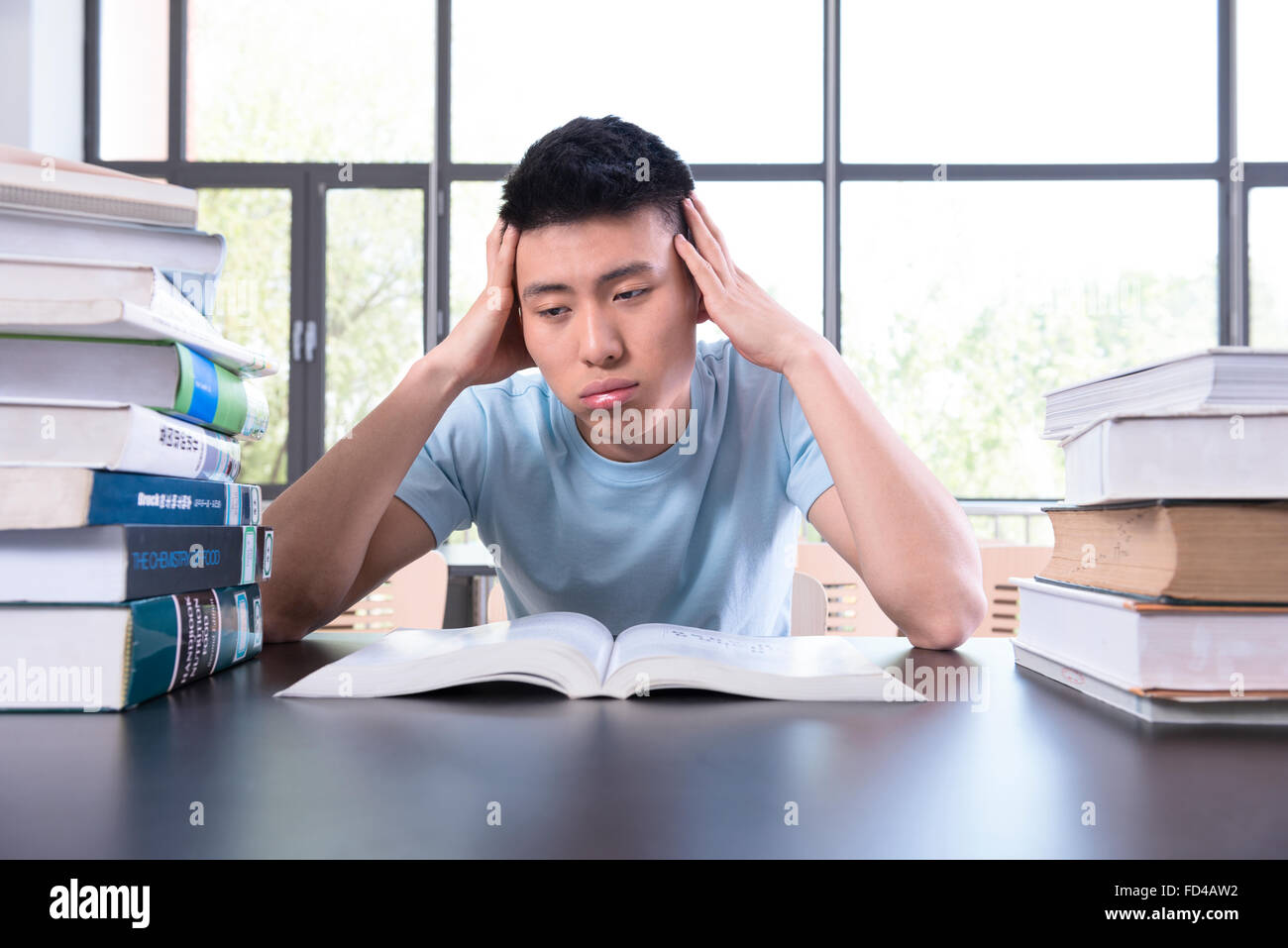 College student studying in library Stock Photo - Alamy