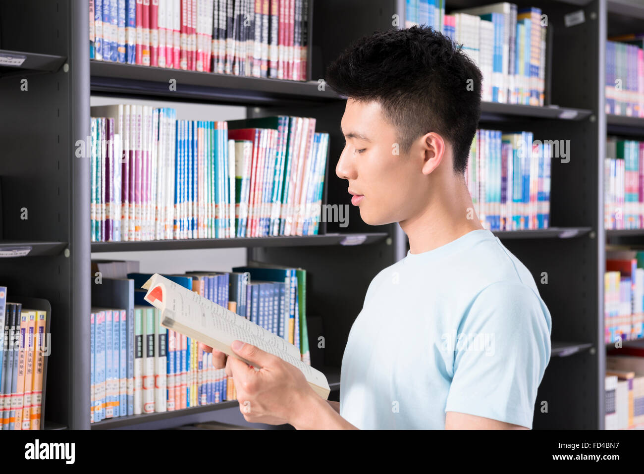 College student reading in library Stock Photo - Alamy