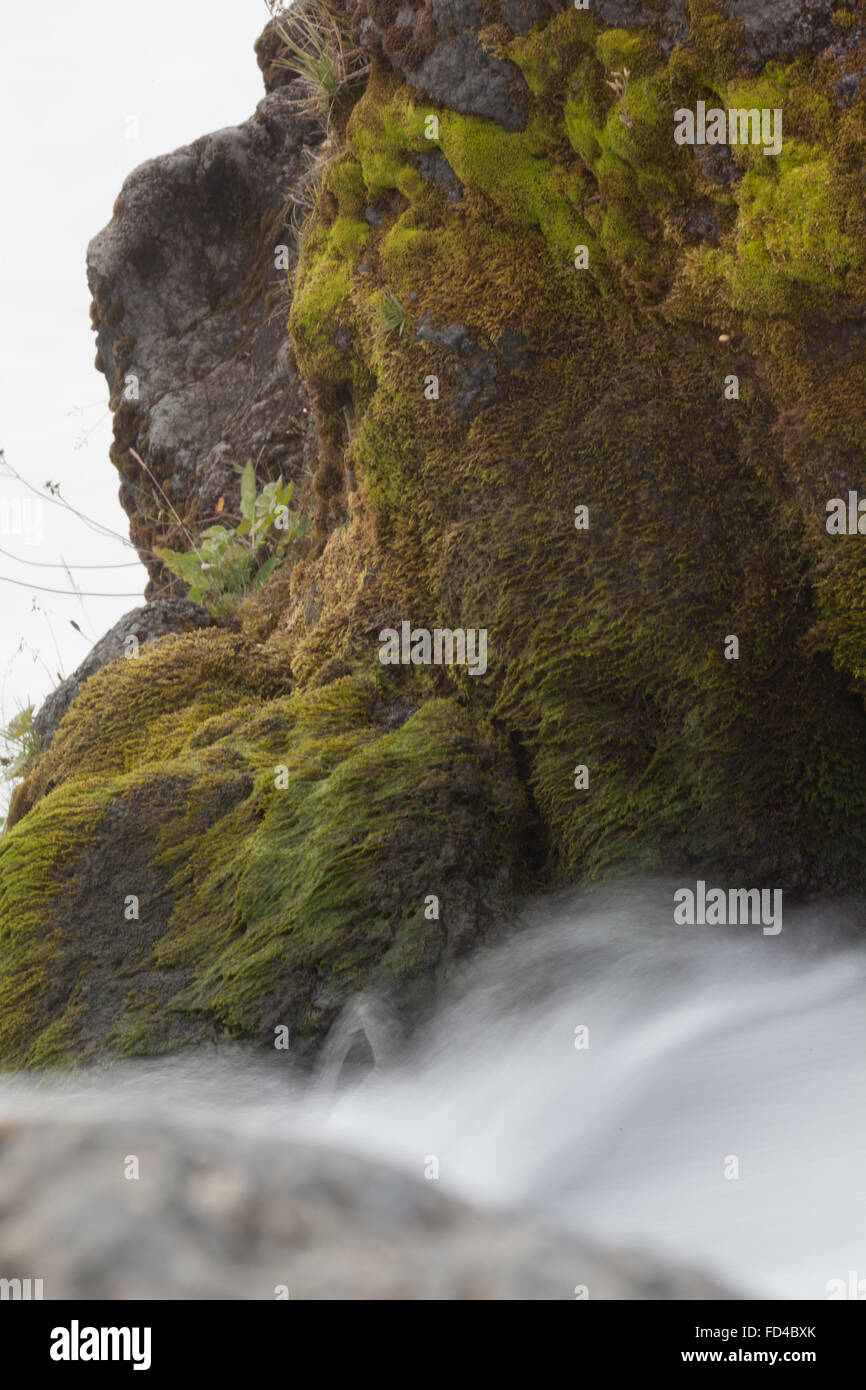 Speed through the water hi-res stock photography and images - Alamy