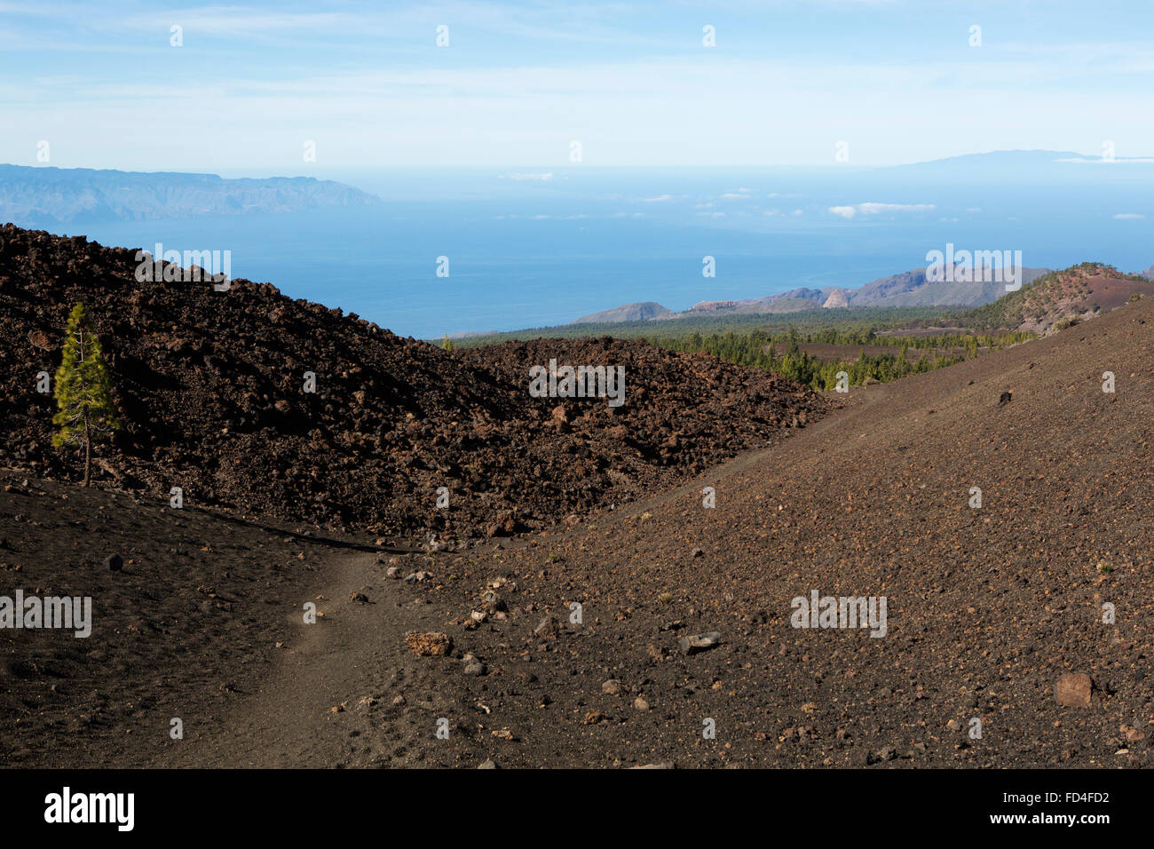Tenerife volcanic landscape hi-res stock photography and images - Alamy