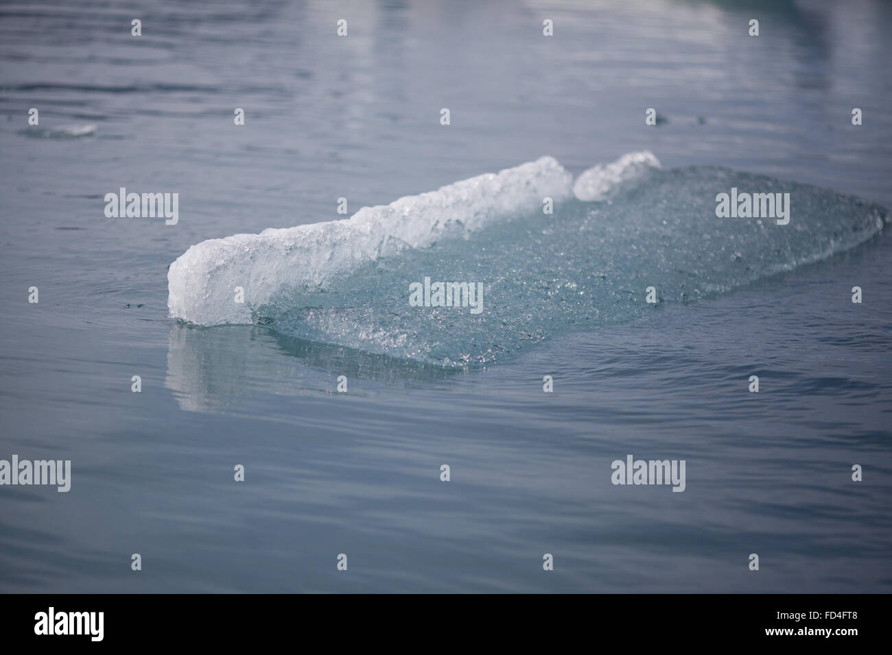 Melting of sea ice hi-res stock photography and images - Alamy
