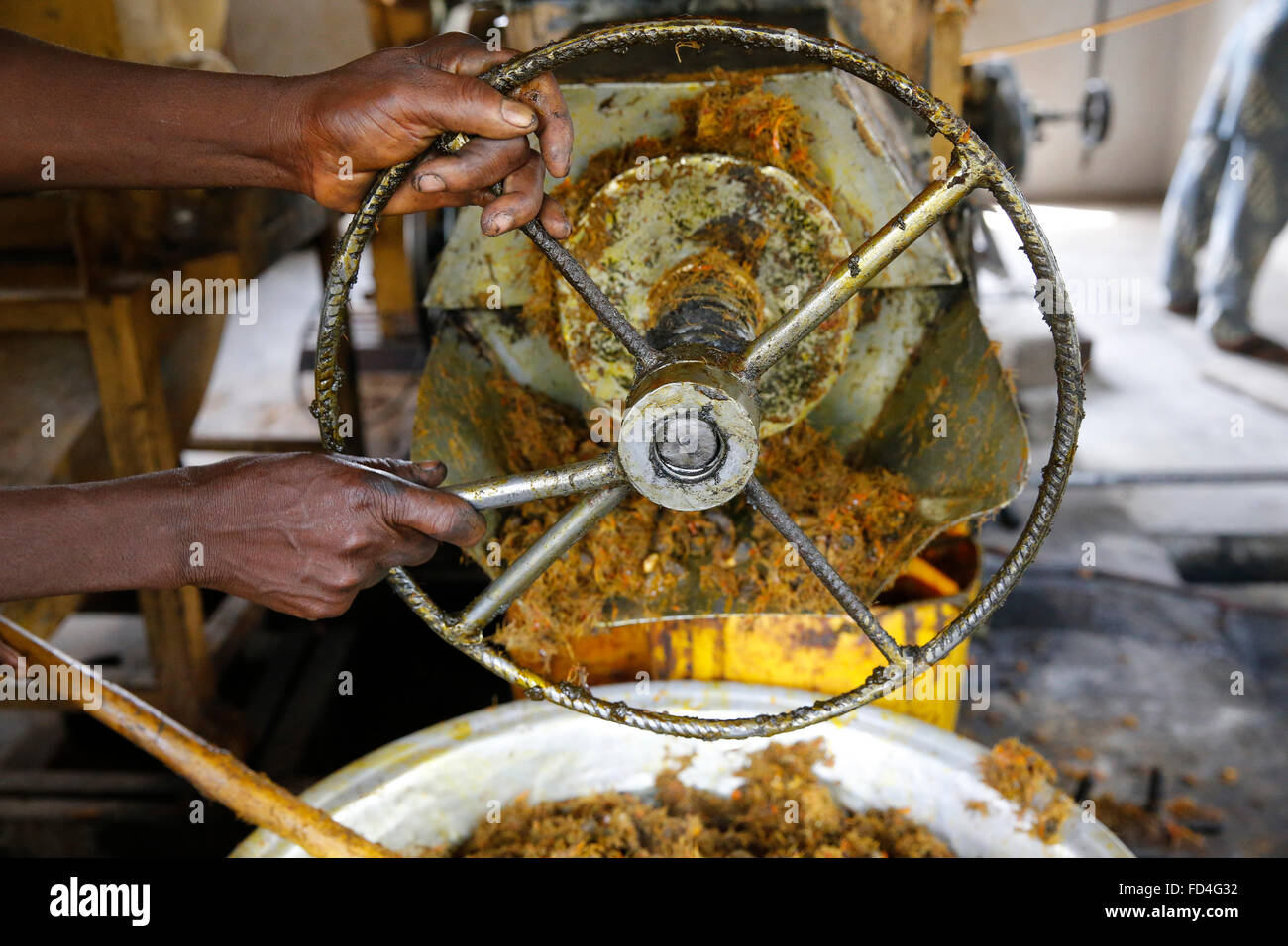 Palm oil factory Stock Photo - Alamy