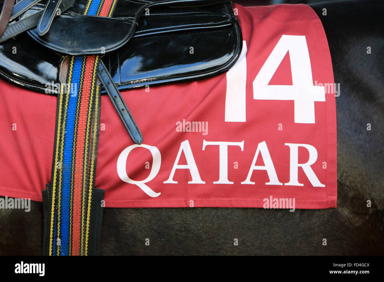 Qatar - Arc de Triomphe Horse race Stock Photo - Alamy