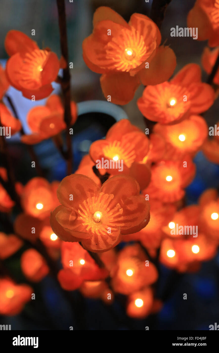 Shaped lighting hi-res stock photography and images - Alamy