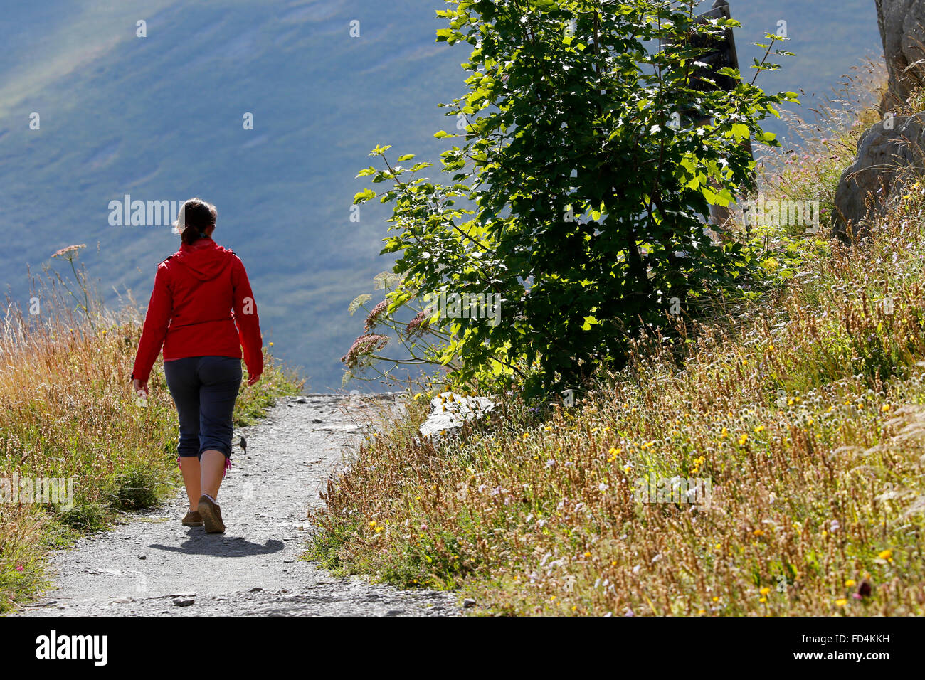 Woman walking on a path Stock Photo - Alamy