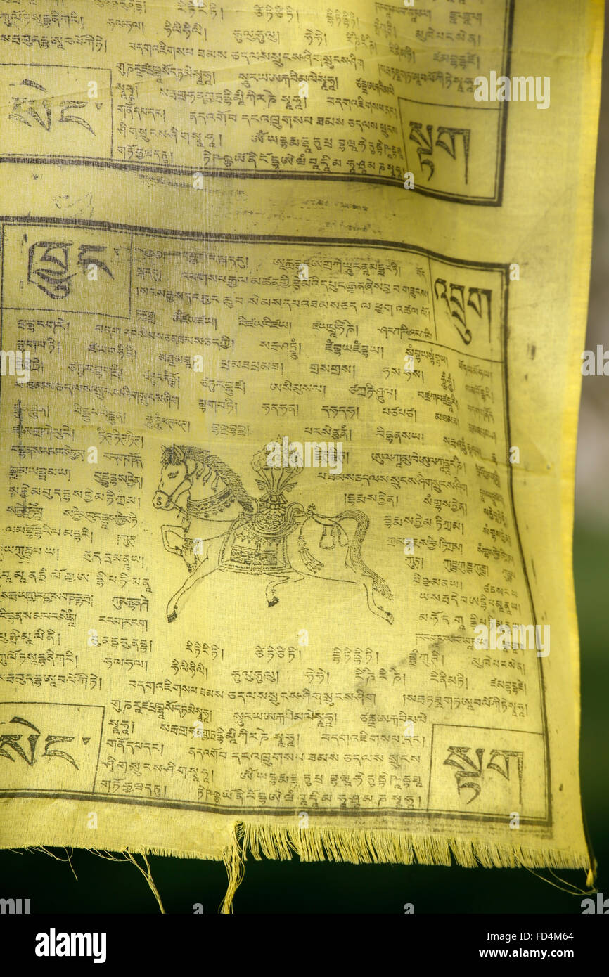 Temple of the Thousand Buddhas. Dashang Kagyu Ling congregation. Prayer ...