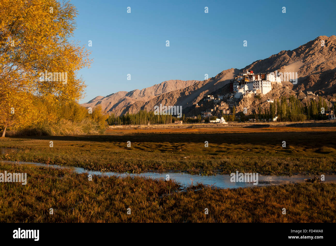 Spituk monastery ladakh india hi-res stock photography and images - Alamy