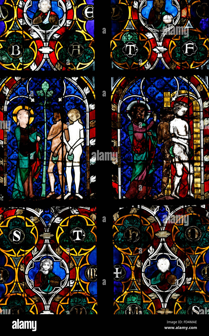 Our Lady of Strasbourg Cathedral. Stained glass window. The Genesis : Adam and Eve Stock Photo ...