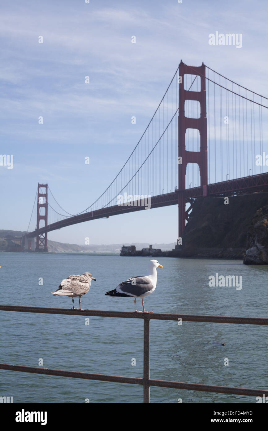 Golden Gate Bridge Two People High Resolution Stock Photography and ...