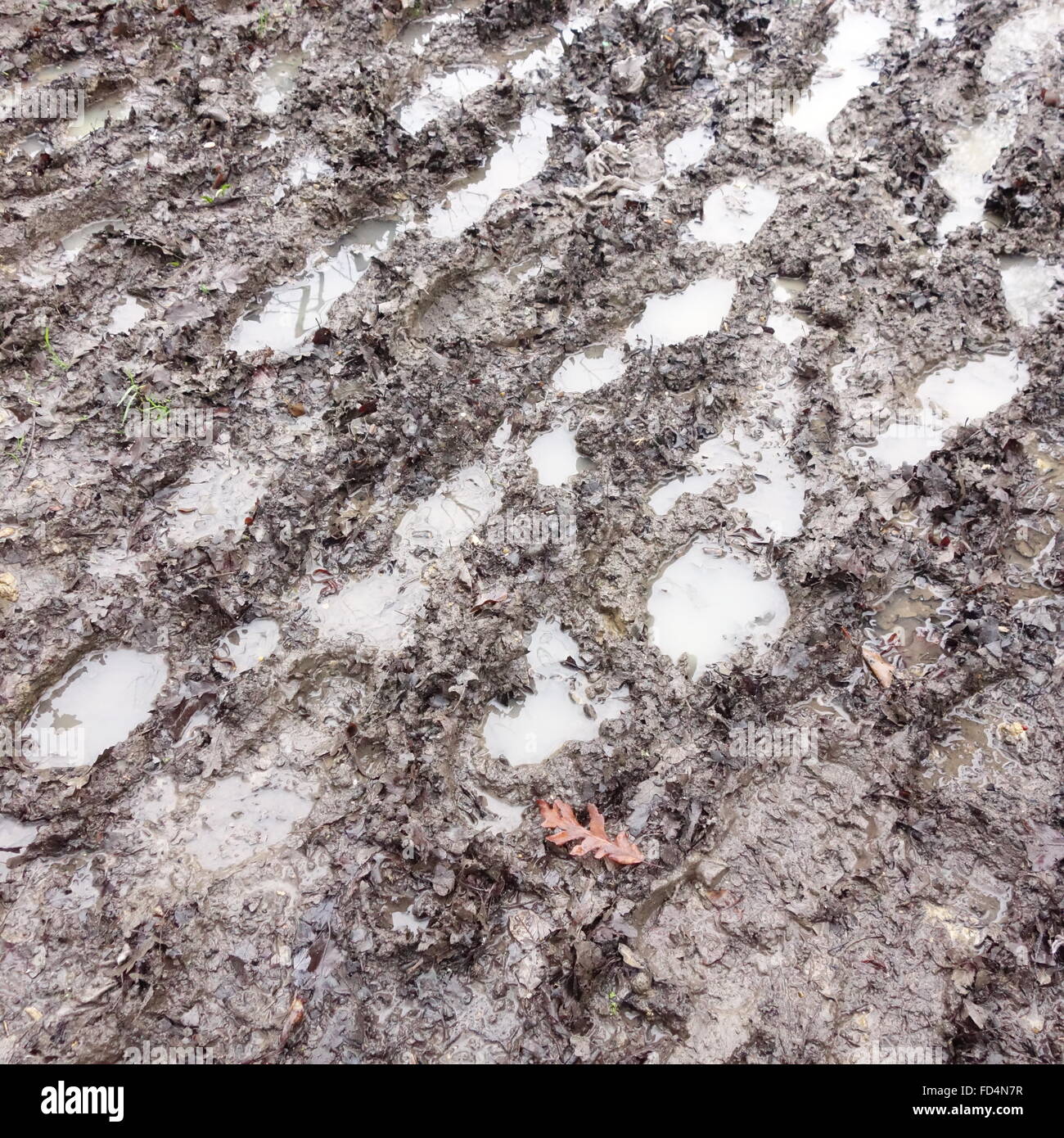 Muddy footprints hi-res stock photography and images - Alamy
