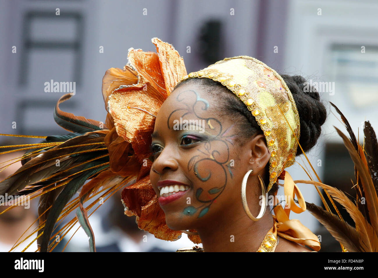 Paris Tropical Summer Carnival Stock Photo - Alamy