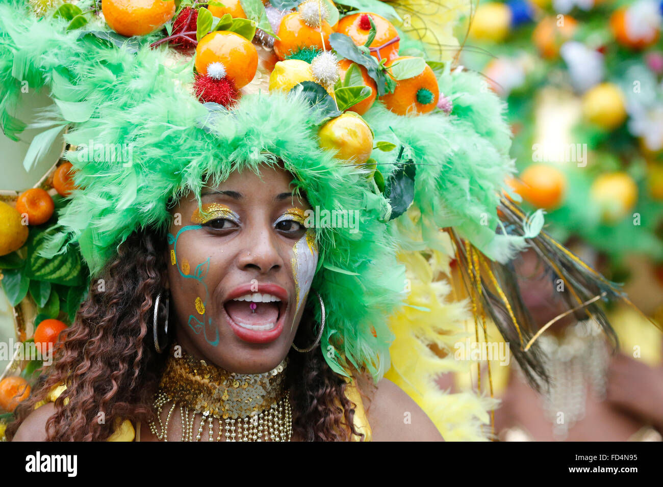 Paris Tropical Summer Carnival Stock Photo - Alamy