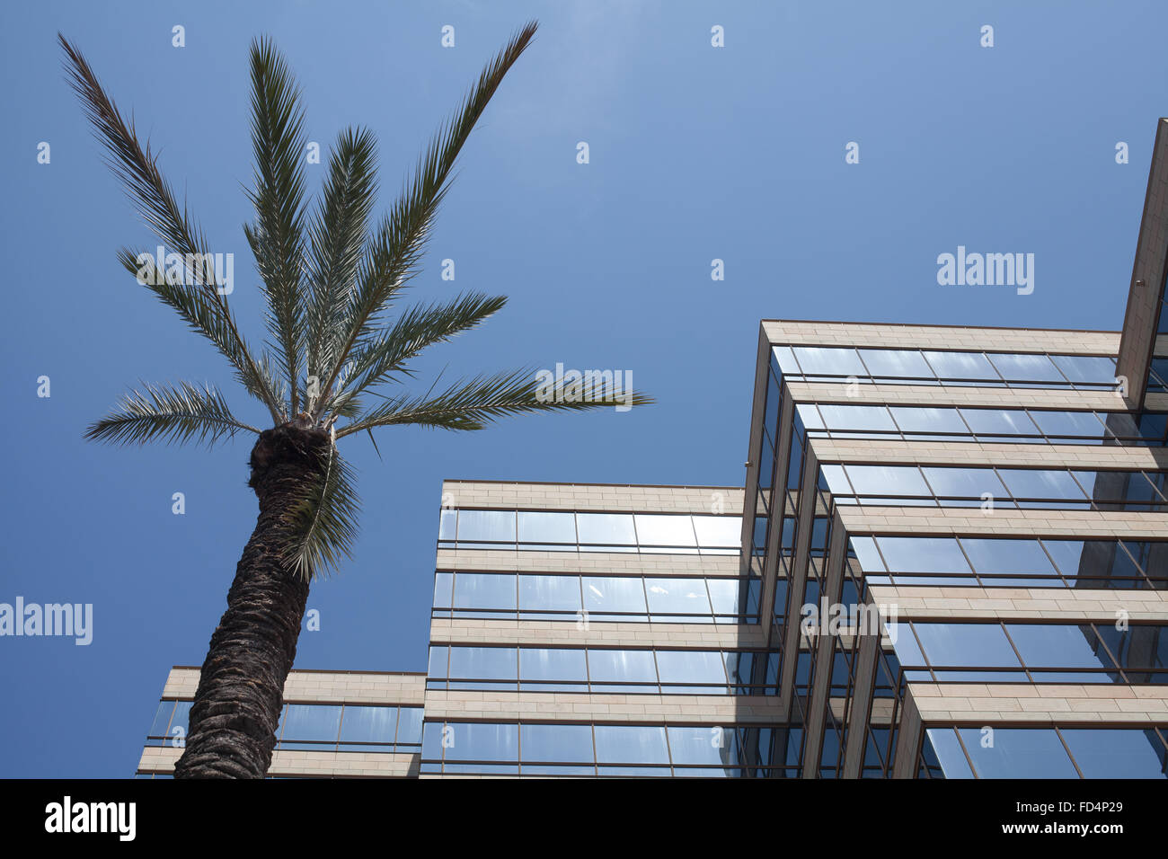 Office building tree hi-res stock photography and images - Alamy